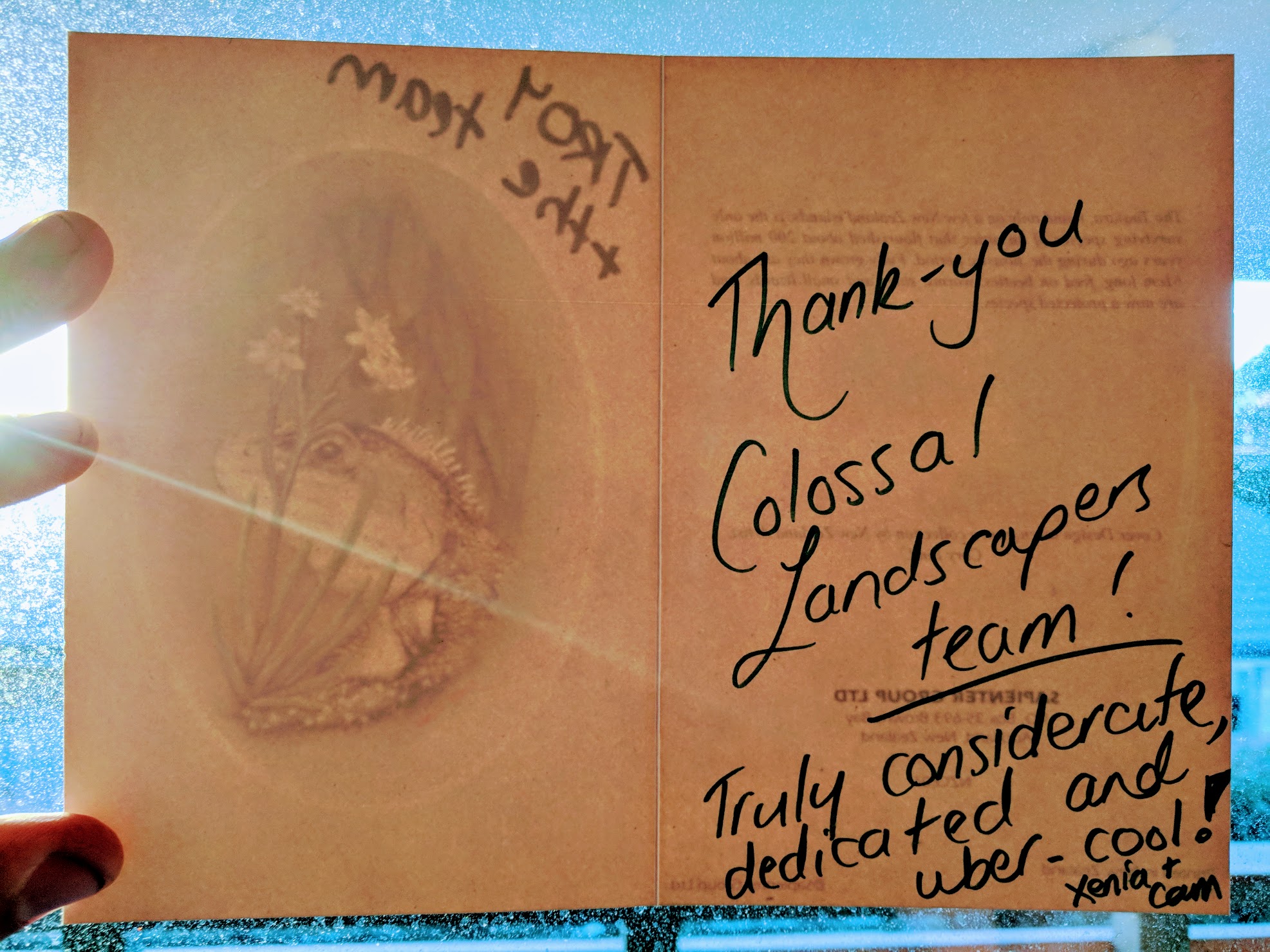 Colossal Arborist Services and Landscape Maintenance in Auckland